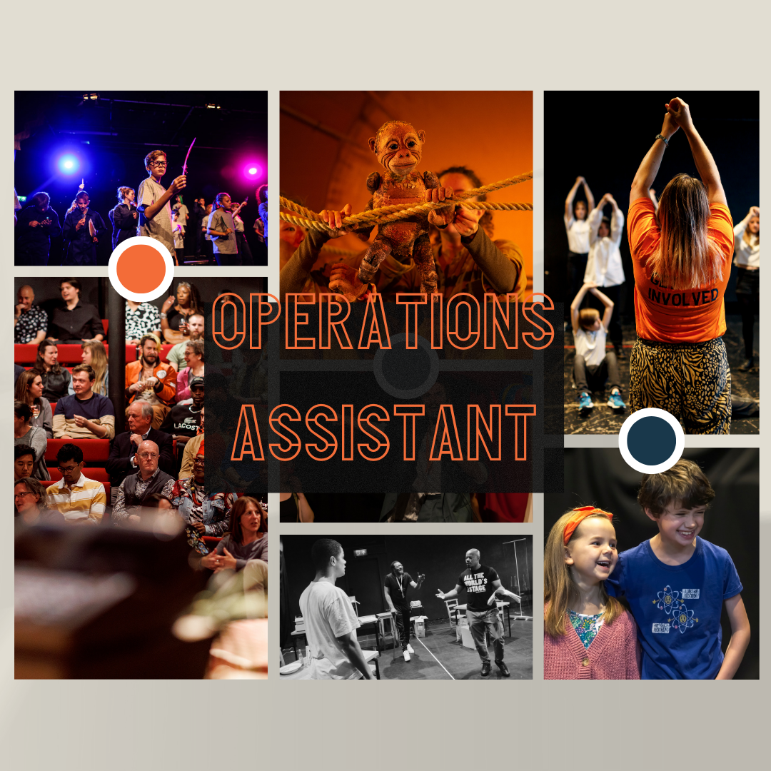 JOB OPPORTUNITY: OPERATIONS ASSISTANT - Tobacco Factory Theatres